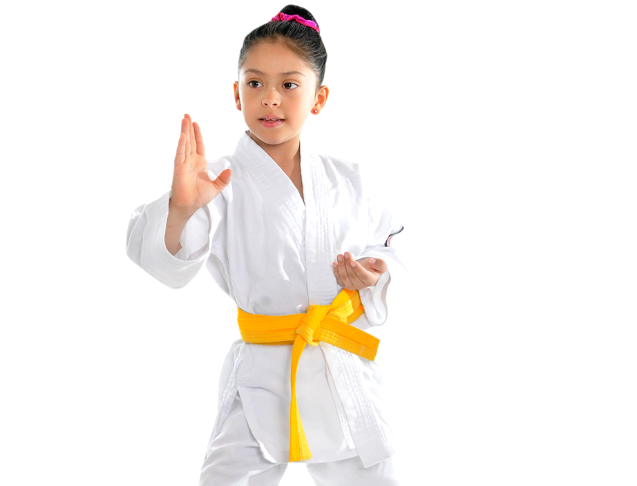 Welcome to Arizona Family Karate - Arizona Family Karate Academy